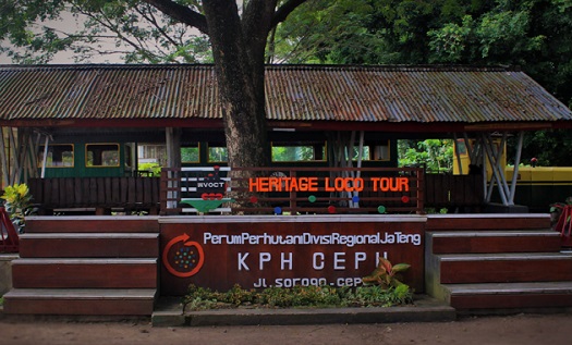 Wisata Heritage Loco Tour KPH Cepu, Mengelilingi Area Hutan Jati dengan ...